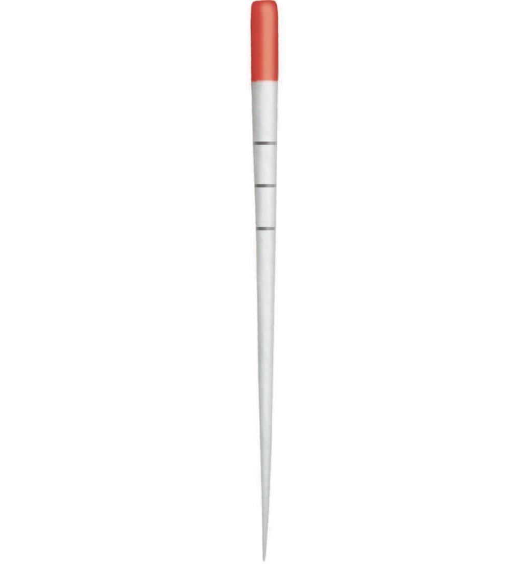 Protaper Gold™ Paper Points F2 (180)