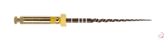 Protaper Gold™ F1|25mm (6) A0411225G0103